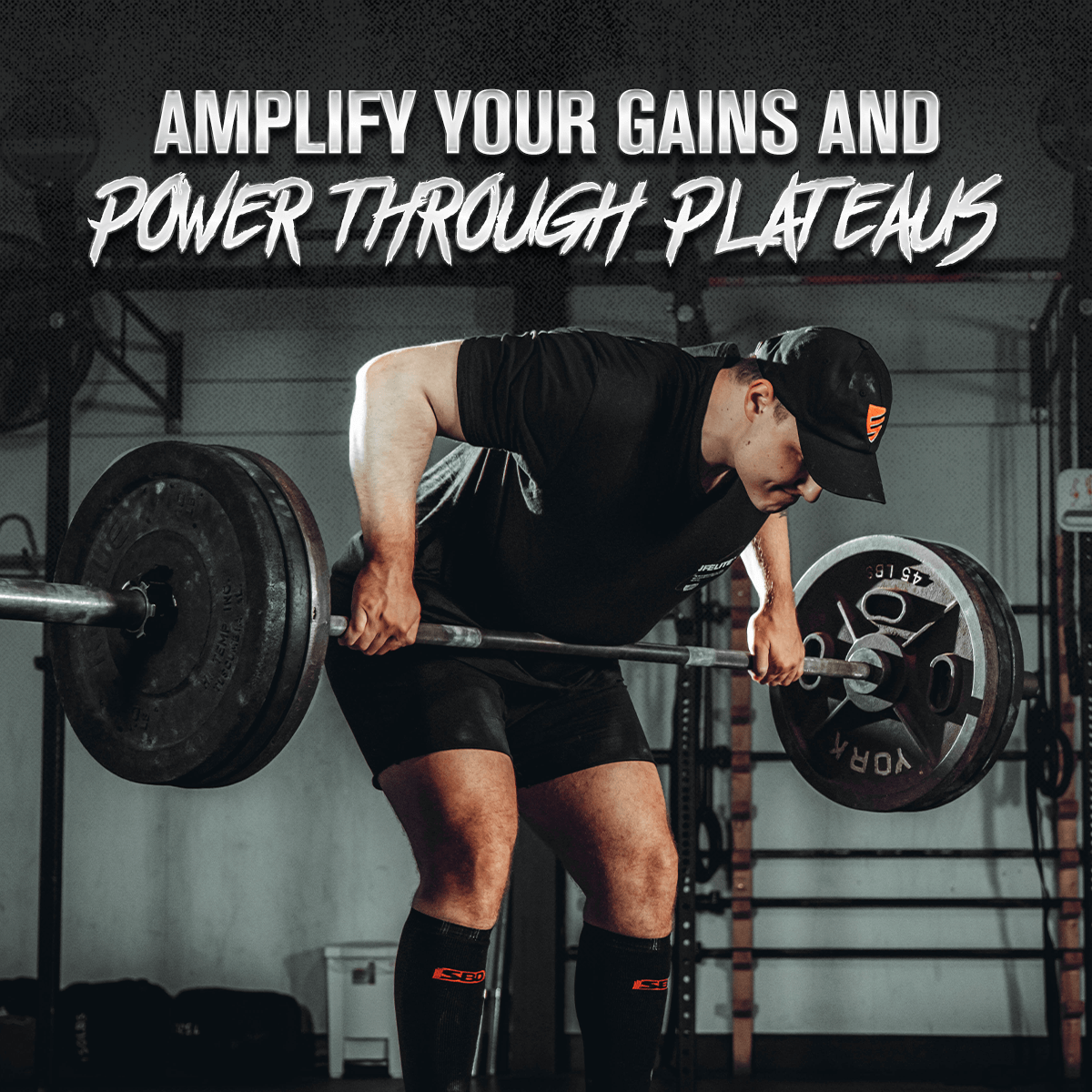 Build XT Max | Jacked Factory