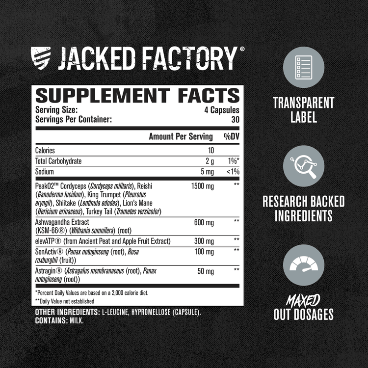 Build XT Max | Jacked Factory